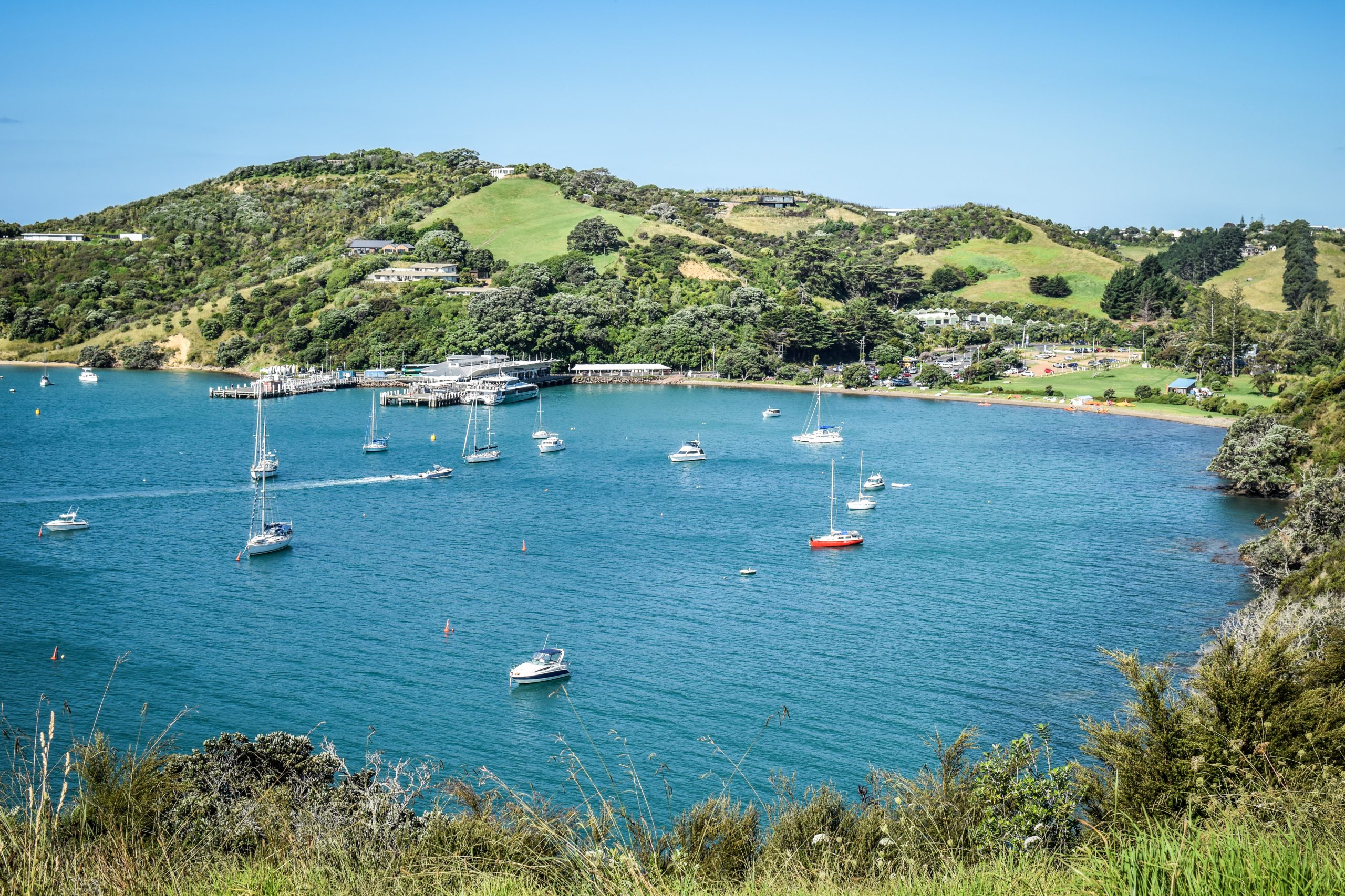 Waiheke - one day on the island - Pin Your Footsteps - Travel Blog