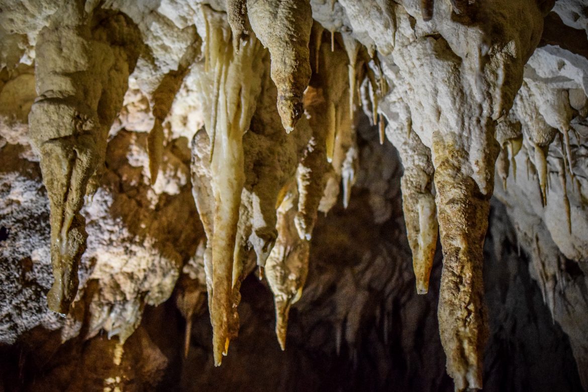 Waitomo Caves: glowworms experience - Pin Your Footsteps - Travel Blog