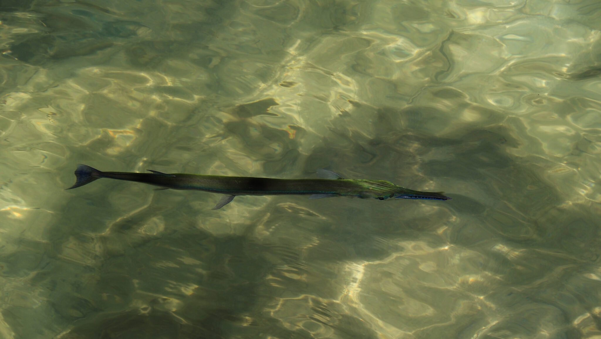 Ang Thong National Marine Park: all you need to know - Pin Your ...