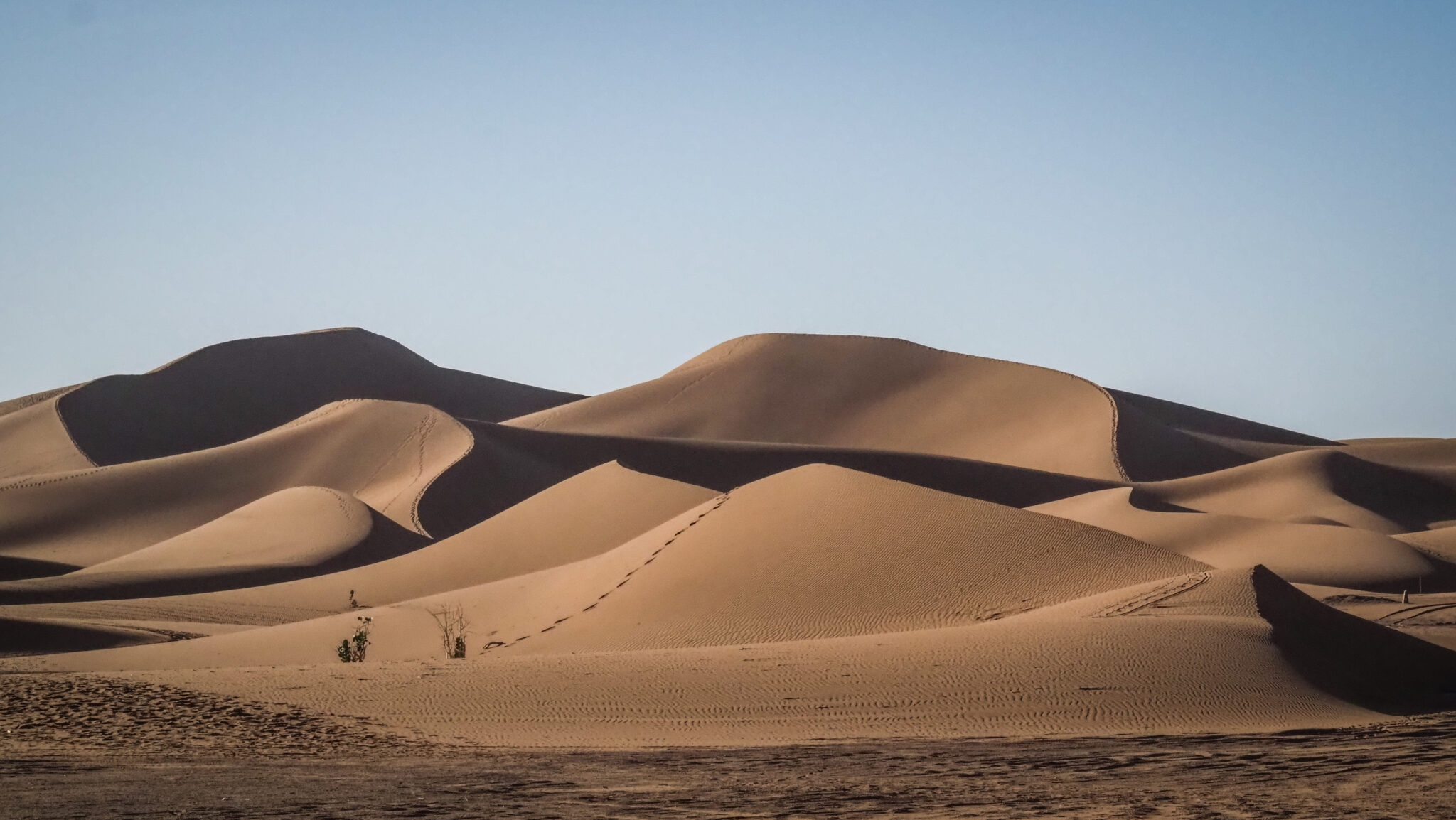 Erg Chigaga: experience remote dunes on the Sahara Desert - Pin Your ...