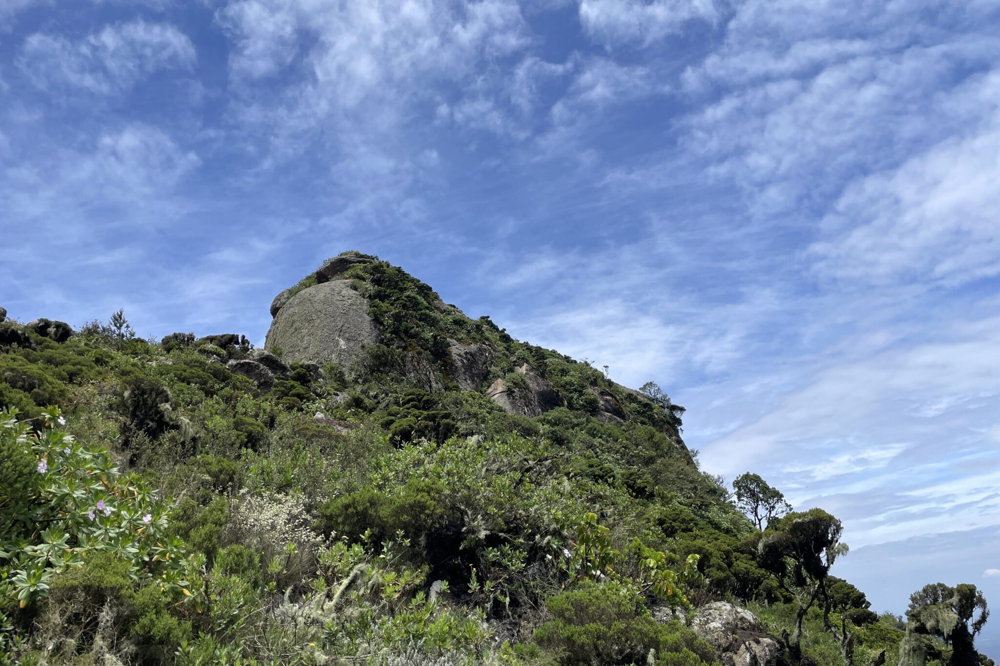 Mount Longido: A Lesser-Known Trek Worth Taking - Pin Your Footsteps ...