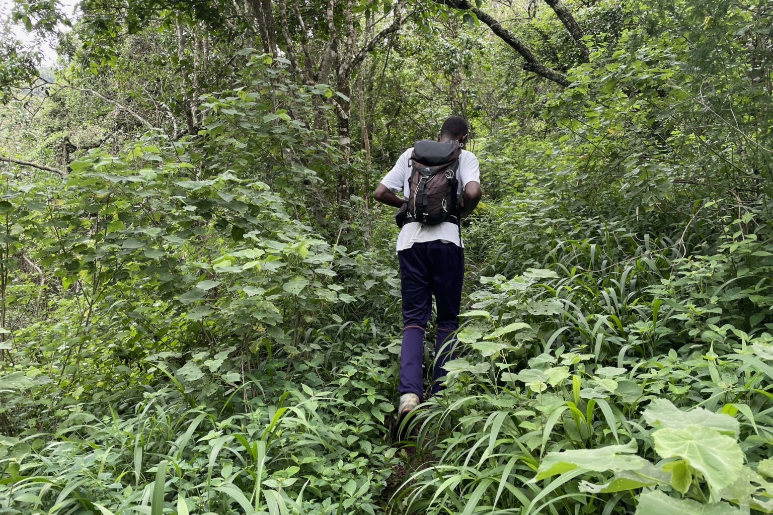 Mount Longido: A Lesser-Known Trek Worth Taking - Pin Your Footsteps ...