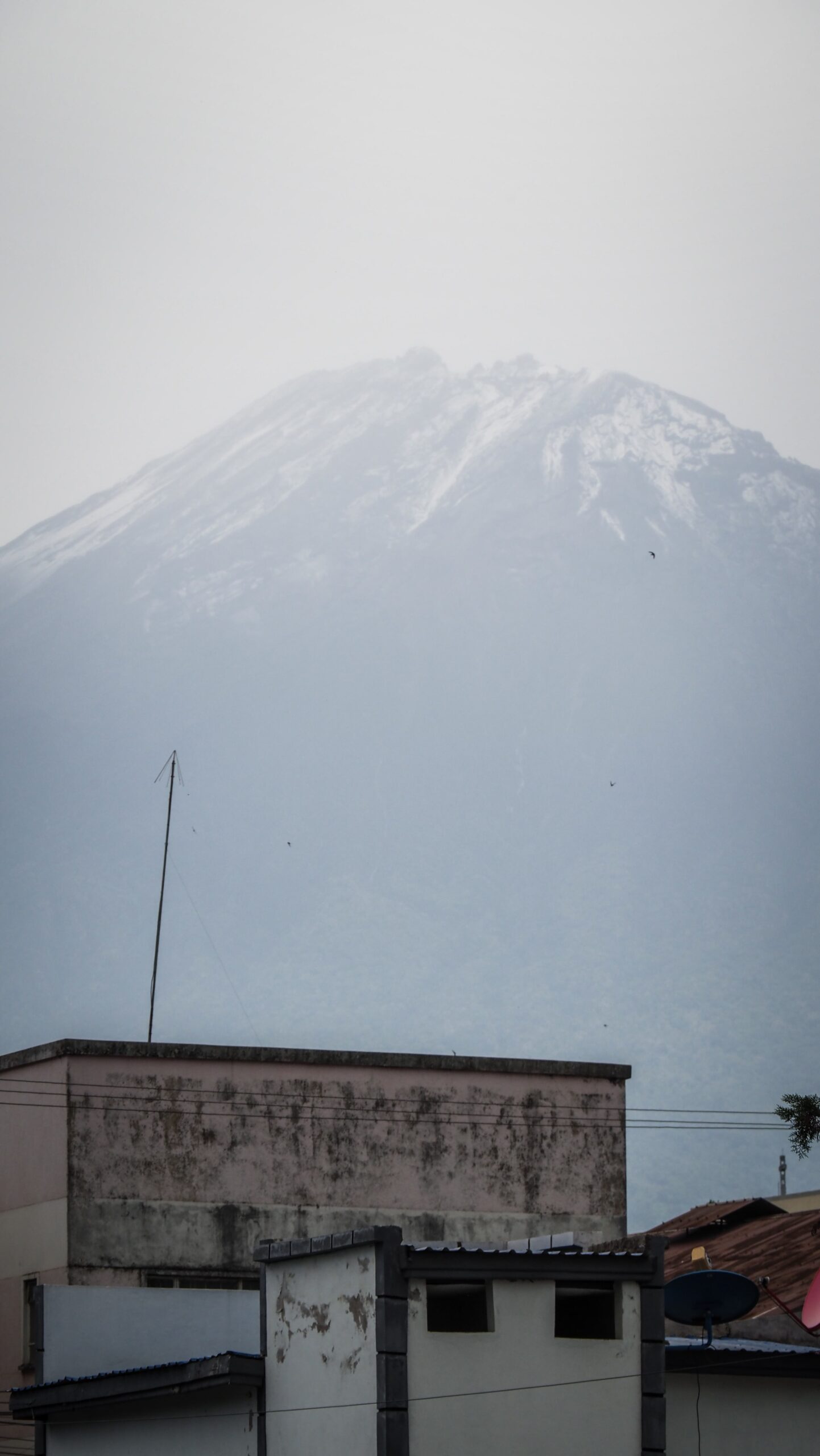 Arusha: The Gateway to Tanzania's Greatest Adventures - Pin Your ...