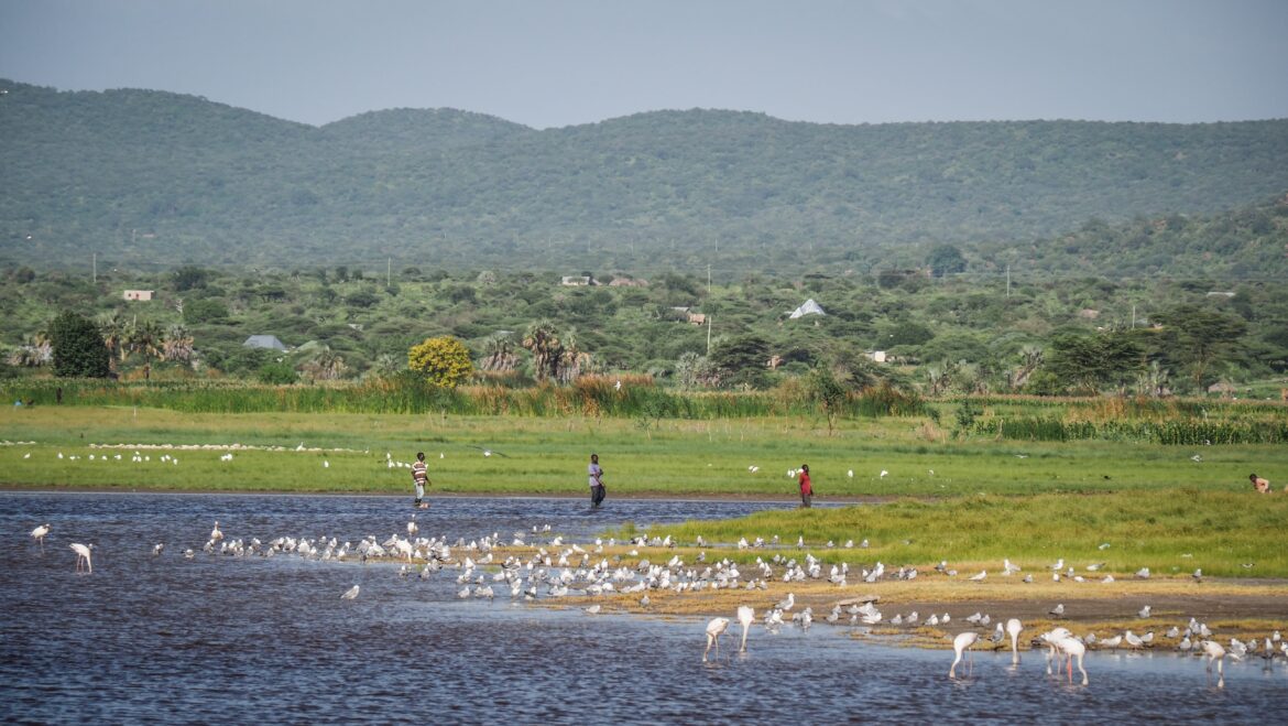 Lake Eyasi: Meeting the Hadzabe and Datonga Tribes - Pin Your Footsteps ...