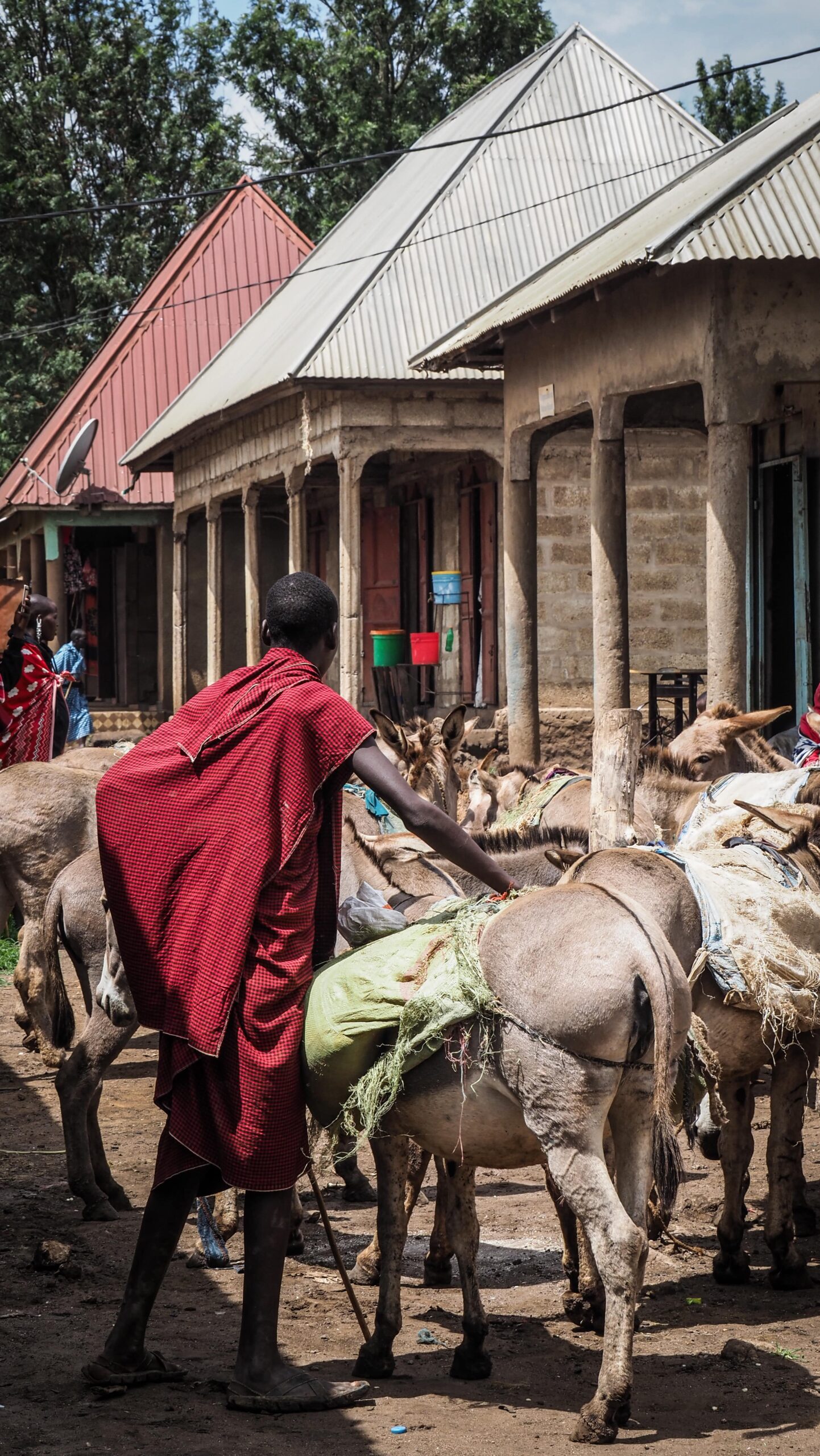 Arusha: The Gateway to Tanzania's Greatest Adventures - Pin Your ...