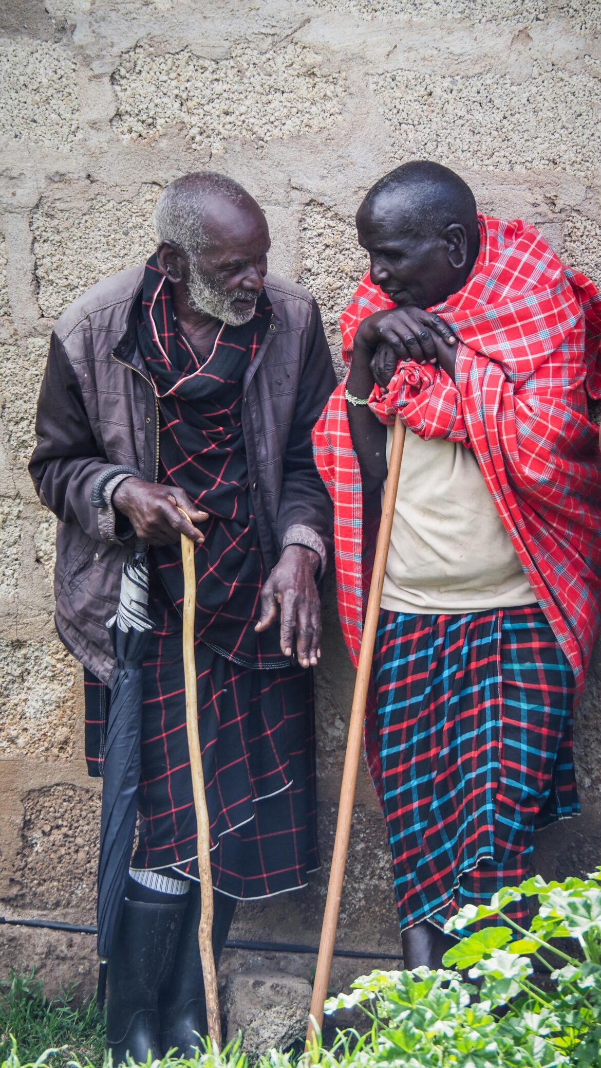 Arusha: The Gateway to Tanzania's Greatest Adventures - Pin Your ...