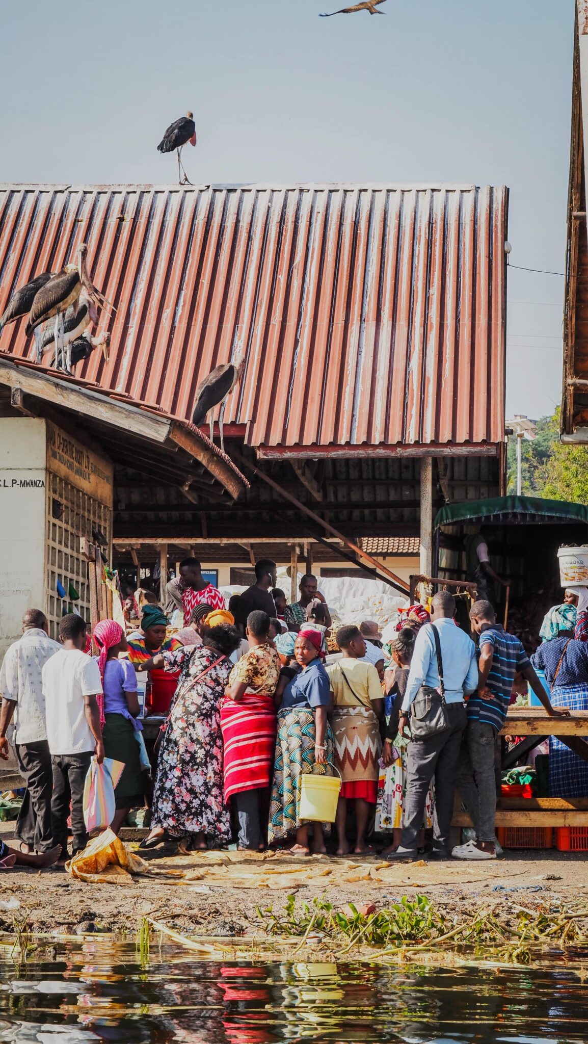 Mwanza: Travel Guide to Tanzania's Rock City